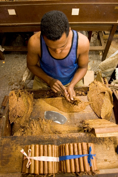 Hand Rolling Cigars – The Making of Cuban Cigars – If you are a new ...